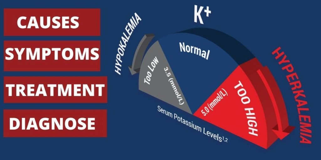 Potassium Intake In Chronic Kidney Disease Patients| Hyperkalemia